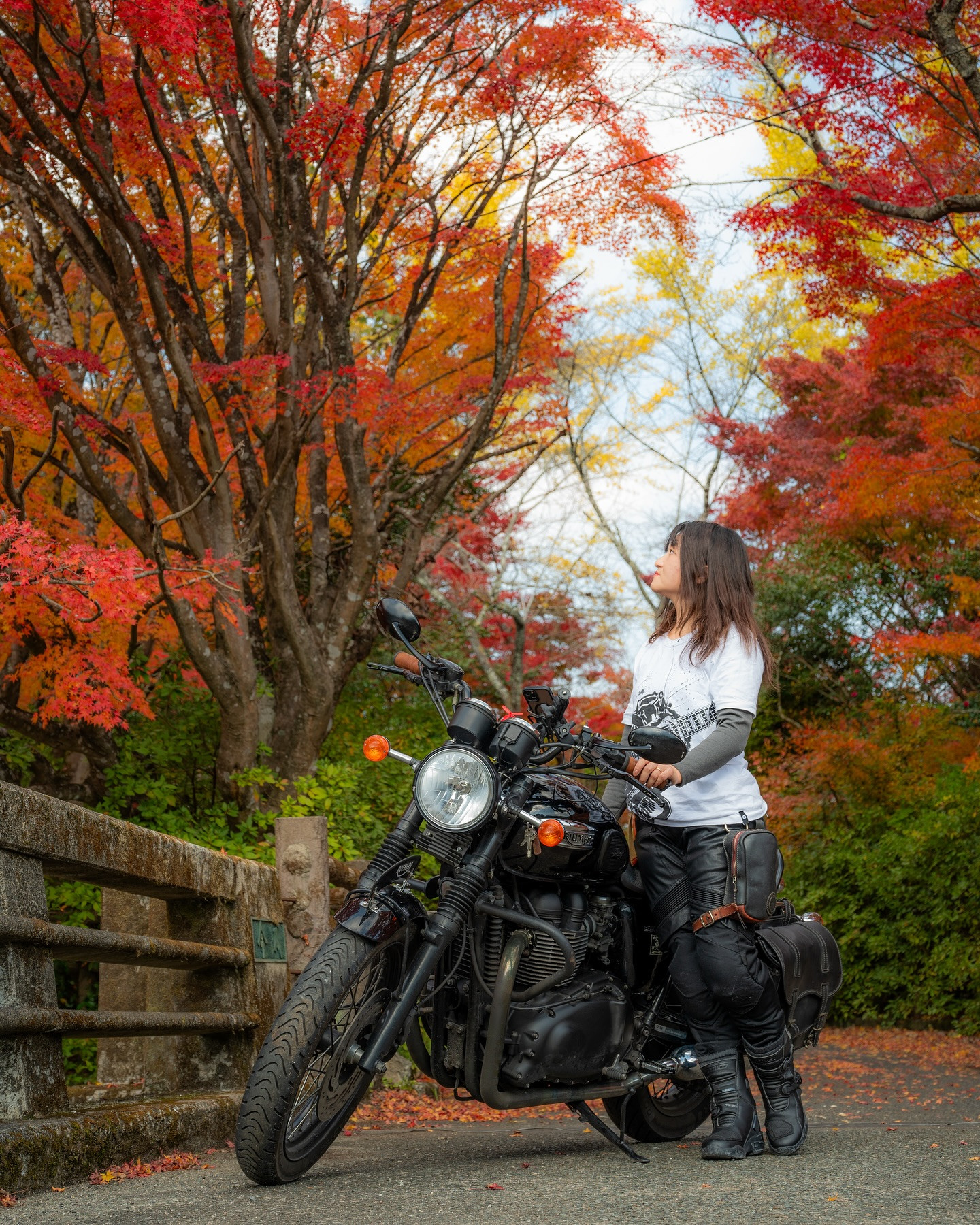 469732933 18435554263073438 4492886624541351813 n - Gifyu